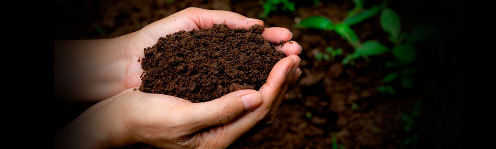 Tierra Negra | Venta de tierra abonada para jardines y huertas - Envíos ...